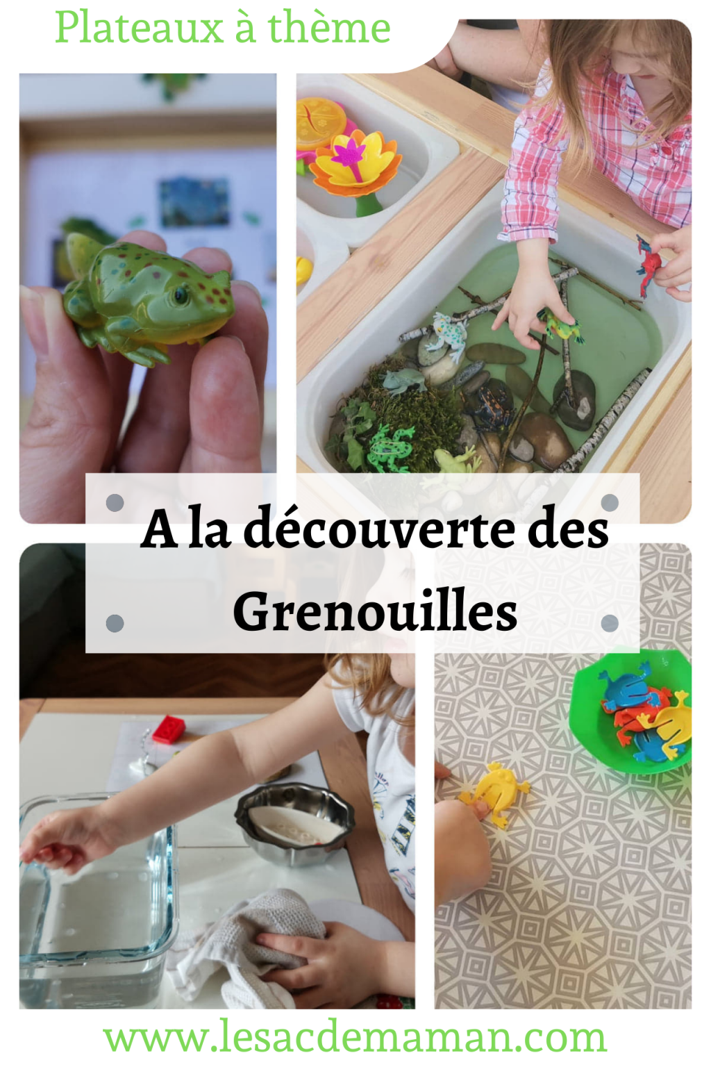 Plateaux à thème - La Grenouille - Le sac de maman